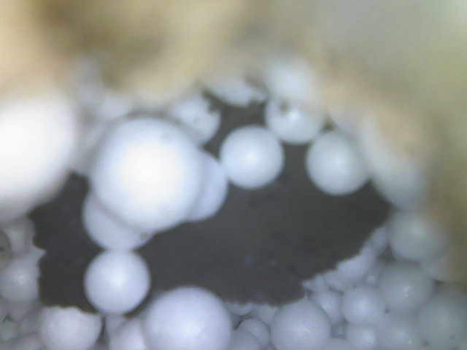 Understanding Wall Types and Their Impact on Energy Performance ...